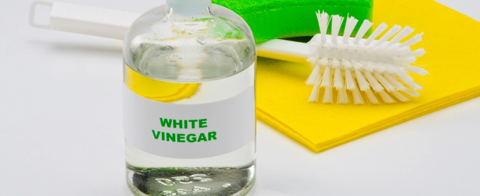 How to Clean Inside of Windshield Surfaces | ShinePro